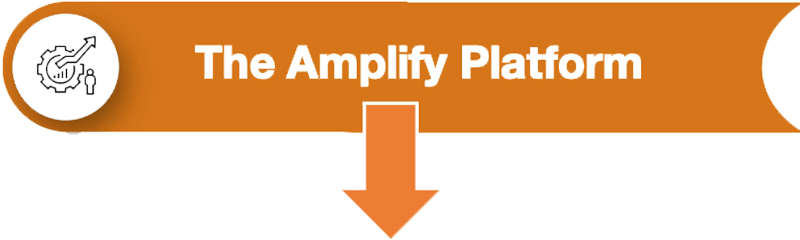 The Amplify Startup Program: Global Business Expansion